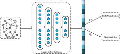 Frontiers | Multi-Task Network Representation Learning